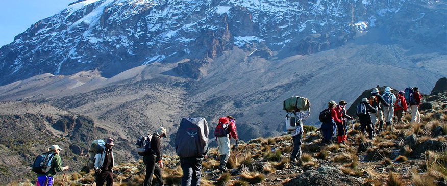 7-Day Rongai Route Kilimanjaro - Nolan Africa Safari
